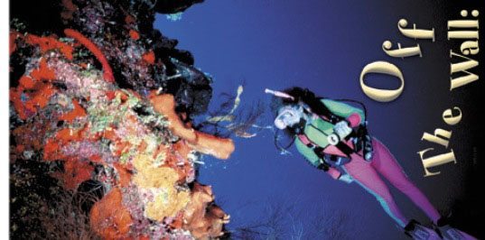 Off the Wall: The Thrill of Wall Diving | Scuba Diving News, Gear ...