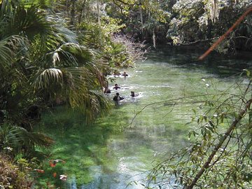 Blue Spring State Park | Scuba Diving Destination | Dive Training Magazine