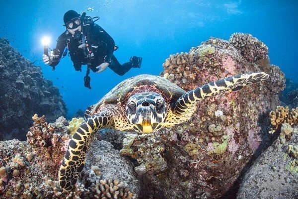 Exploring Saba: The Caribbean’s Unspoiled Queen | Scuba Diving - News ...