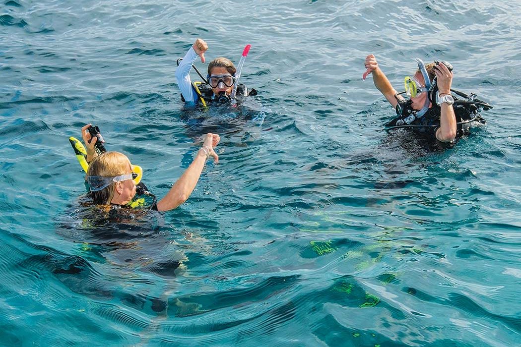 Resources for Scuba Diving Enthusiasts | Dive Training Magazine