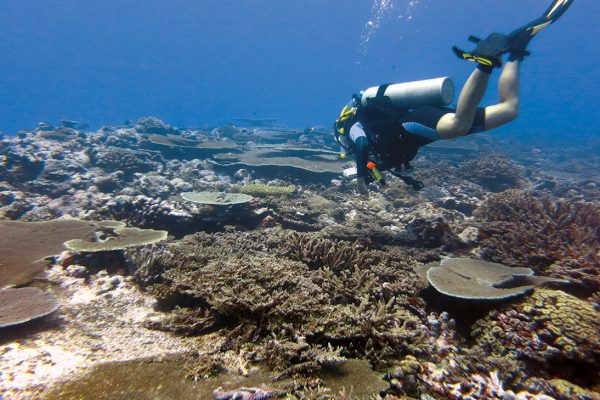 Diving In American Samoa - Dive Training Magazine | Scuba Diving Skills ...