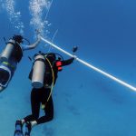 Swimming In the Forest: A Kelp Diving How-to | Scuba Diving News + Gear ...