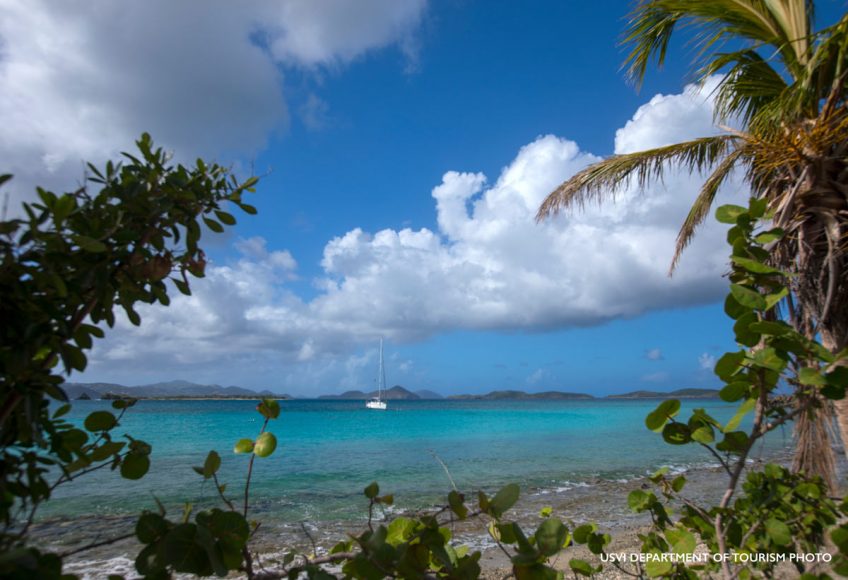 A POST-HURRICANE PROGRESS REPORT FROM THE U.S. VIRGIN ISLANDS | Scuba ...