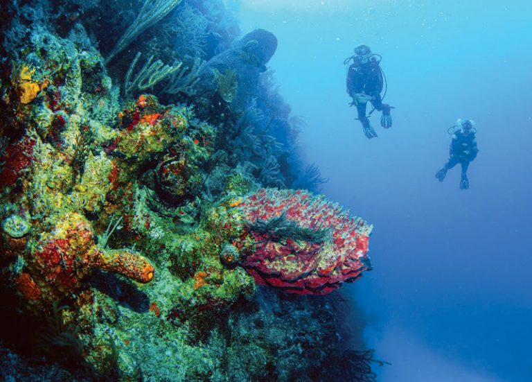 DIVE PROVO AND PORTS OF CALL RESORT, TURKS AND CAICOS - Dive Training ...
