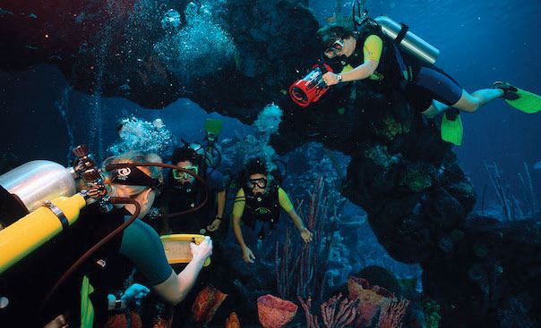 DIVEQUEST, EPCOT SEAS ADVENTURES | Scuba Diving Destination | Dive ...
